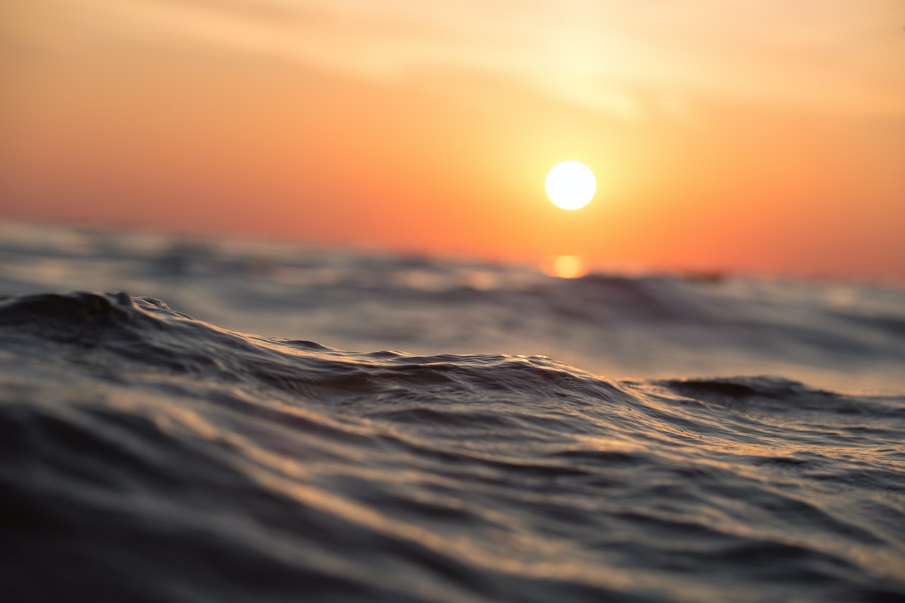 Protecting the Ocean – Maré de Ciência